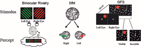 Neural basis of visual consciousness | Universitätsmedizin Göttingen